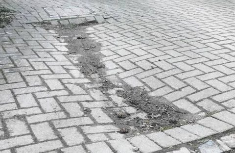 Paving Cape Town | Save Big on Top-Quality Paving